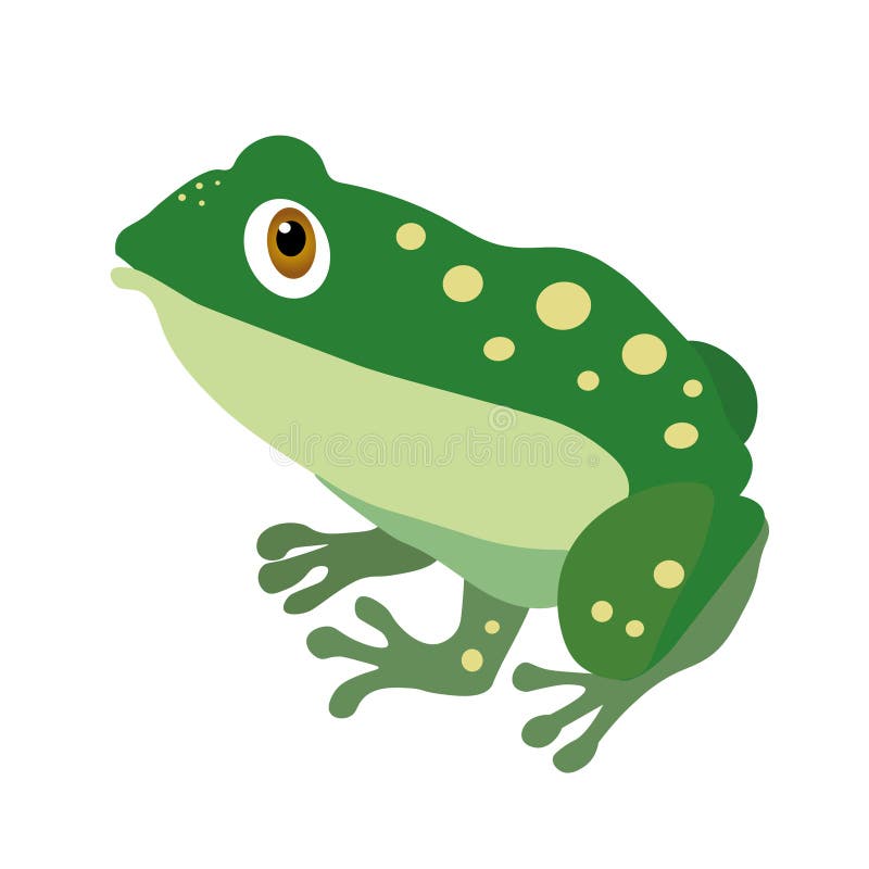 Frog Flashcard Stock Illustrations – 198 Frog Flashcard Stock ...