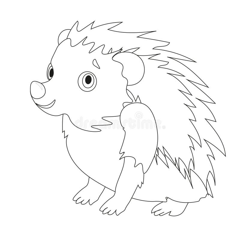 Hedgehog Line Drawing Vector Illustration Stock Illustration ...