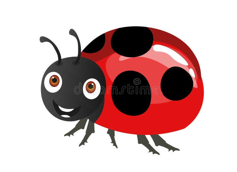 Flashcard Ladybug Stock Illustrations – 131 Flashcard Ladybug Stock ...
