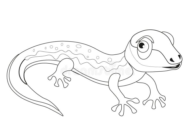 Newt Line Drawing Vector Illustration Stock Vector - Illustration of ...