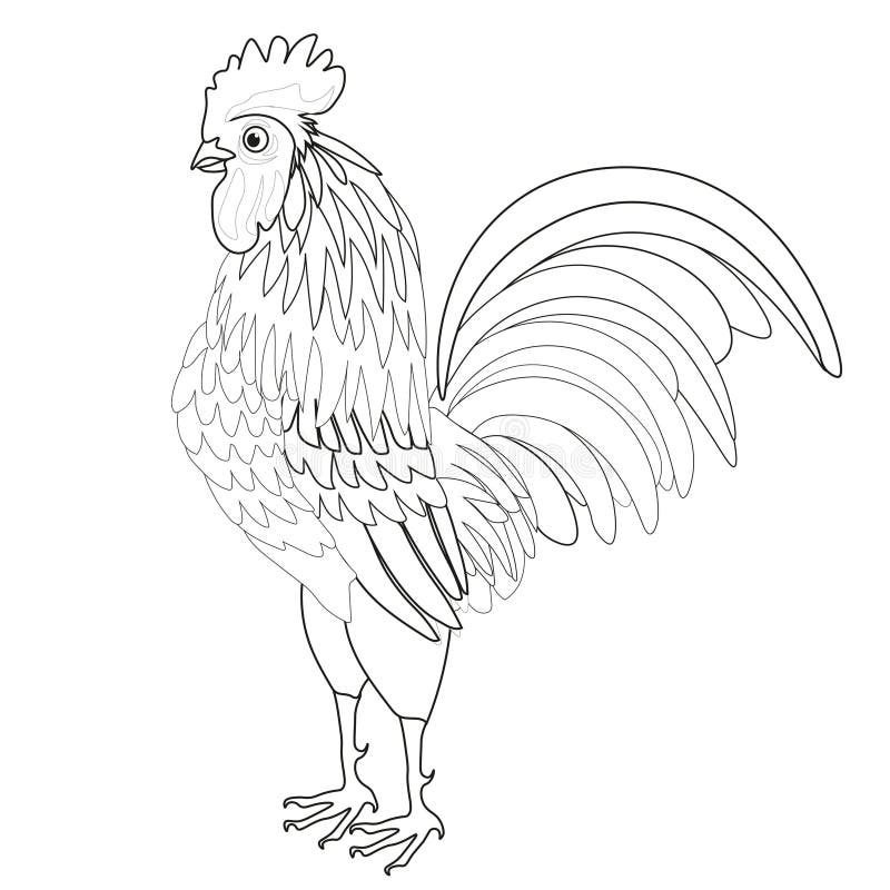 Rooster Line Drawing Vector Illustration Stock Vector - Illustration of ...