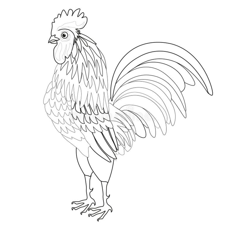 Rooster Line Drawing Vector Illustration Stock Vector - Illustration of ...