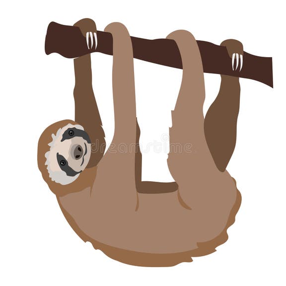 Cartoon Unau Clipart Vector Illustration Stock Vector - Illustration of ...