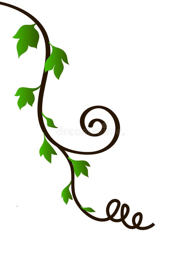 Curved Vine Clipart Vector Illustration Stock Vector - Illustration of ...