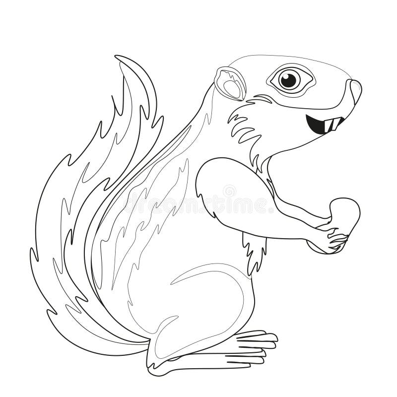 Line Drawing of a Cartoon Squirrel Vector Illustration Stock Vector ...