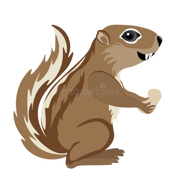 Squirrel Clipart Vector Illustration Stock Vector - Illustration of ...