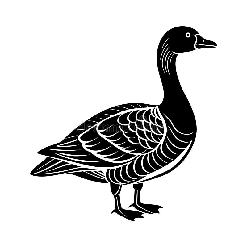 Vector Illustration of a Goose. Isolated on a White Background Stock ...