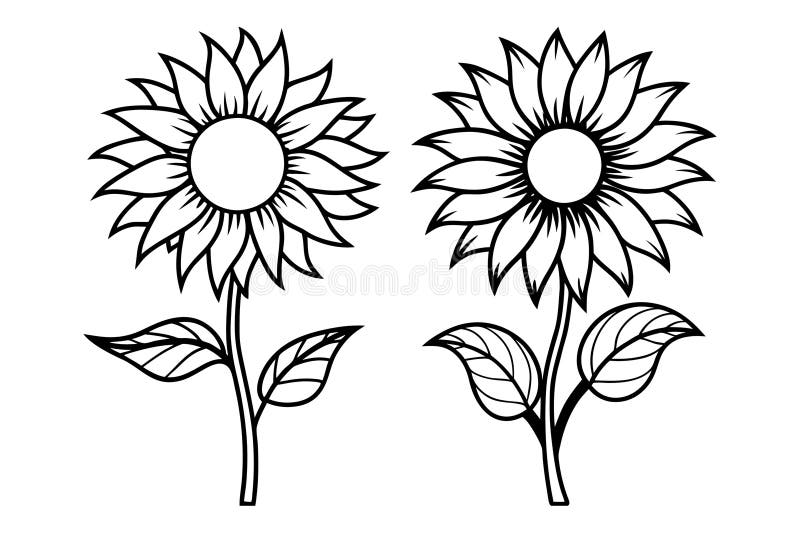 Two Stylized Sunflower Line Drawings Feature Prominently Stock Vector ...