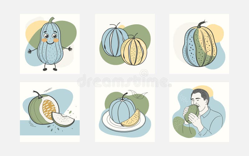 Winter Melon Inspired Colorful Organic Shapes Collection Stock Vector ...