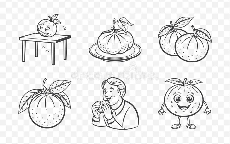 Exquisite Tangerine Line Art Collection Stock Vector - Illustration of ...