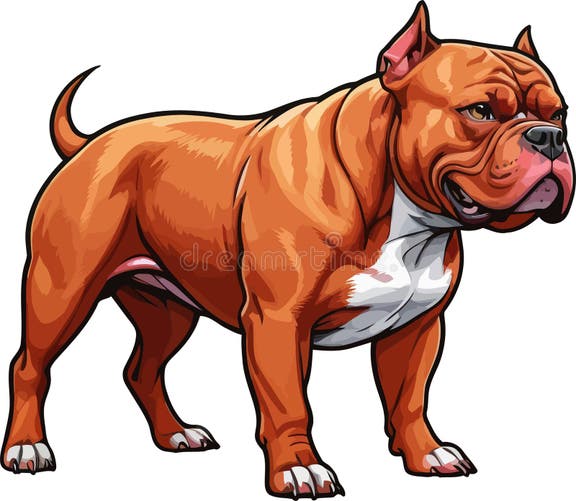 Well-muscled American Red Bully Dog, Perfect for Active Families and ...