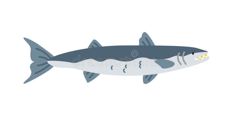Barracuda Cartoon Clipart. Cute Barracuda Fish (Sphyraena) Vector ...