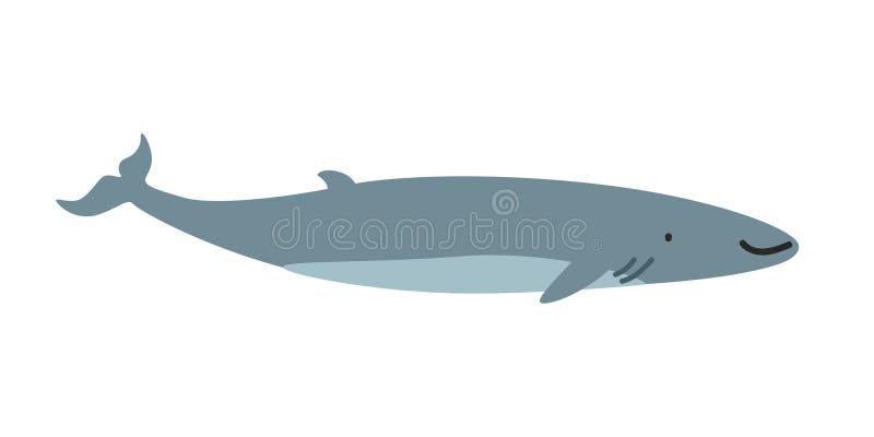 Fin Whale (Balaenoptera Physalus) Cartoon Clipart. Cute Fin Whale ...