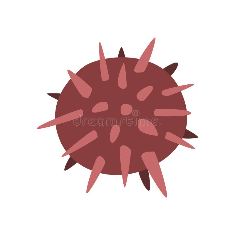 Sea Urchin Cartoon Clipart. Cute Sea Urchin Vector Illustration. Animal ...