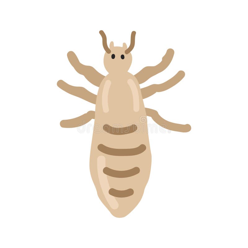 Louse Cartoon Clipart. Head Louse (Pediculus Humanus Capitis) Vector ...