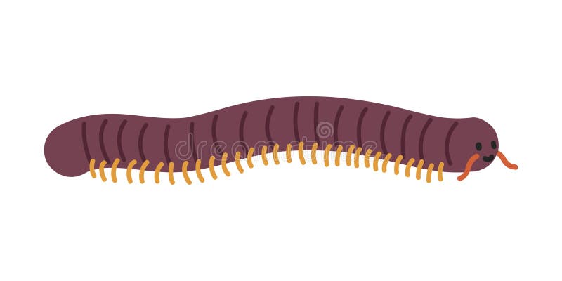 Millipede Cartoon Clipart. Cute Millipede (Diplopoda) Vector ...