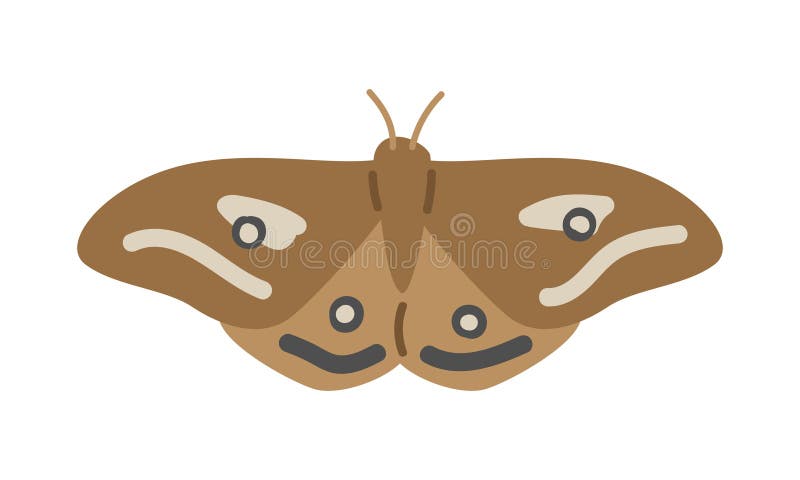 Moth Cartoon Clipart. Cute Polyphemus Moth (Antheraea Polyphemus ...
