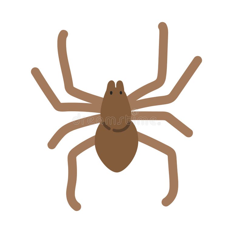 Brown Recluse Spider Cartoon Clipart. Cute Brown Spider (Loxosceles ...