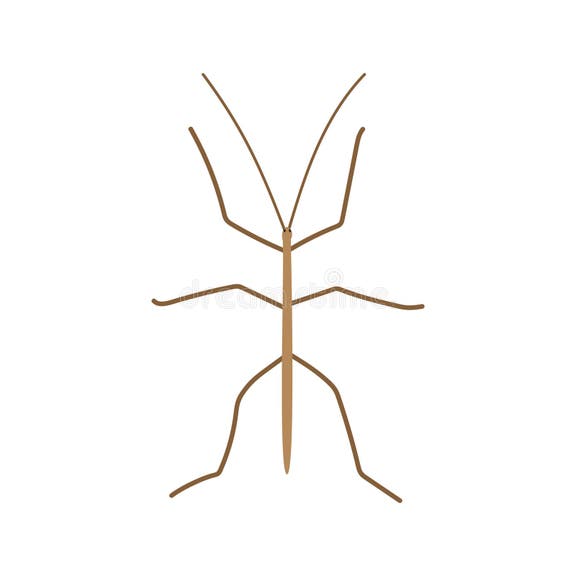 Stick Bug Cartoon Clipart. Cute Stick Bug or Stick Insect or Walking ...
