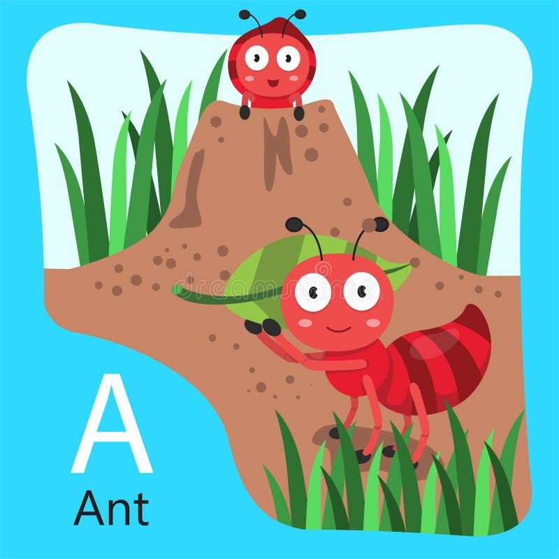 Illustrator of a is Ant for Bug Stock Vector - Illustration of white ...