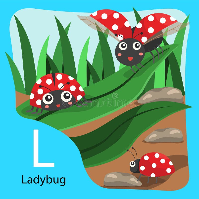 Illustrator of L is Ladybug for Bug Stock Illustration - Illustration ...