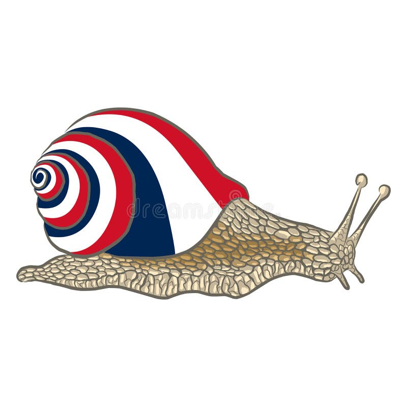 Burgundy Snail with Shell in French Flag Colors. Conceptual ...