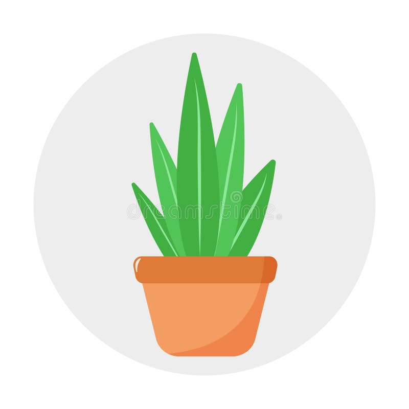 Cartoon Plant in Pot Illustration Isolated Stock Illustration ...