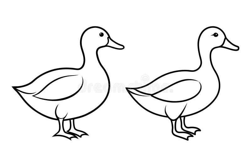 Two Ducks are Illustrated in a Simple Black Outline Style Stock Vector ...