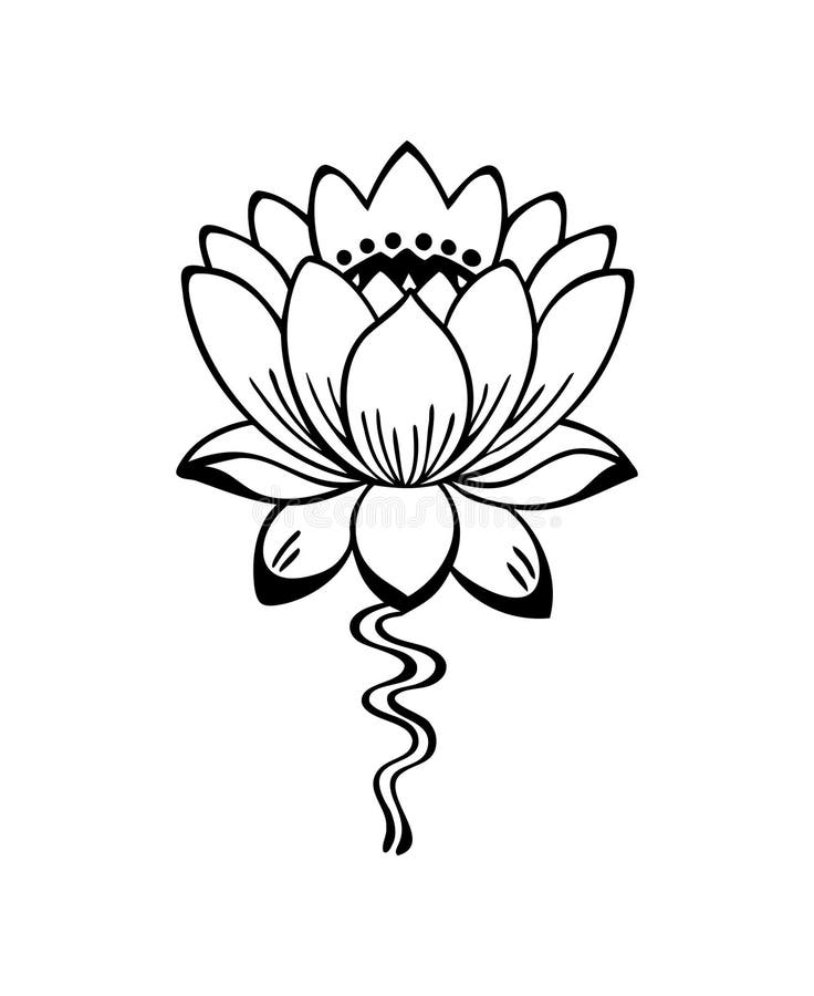 Elegant Lotus Flower Line Art Illustration for Tattoos and Designs ...