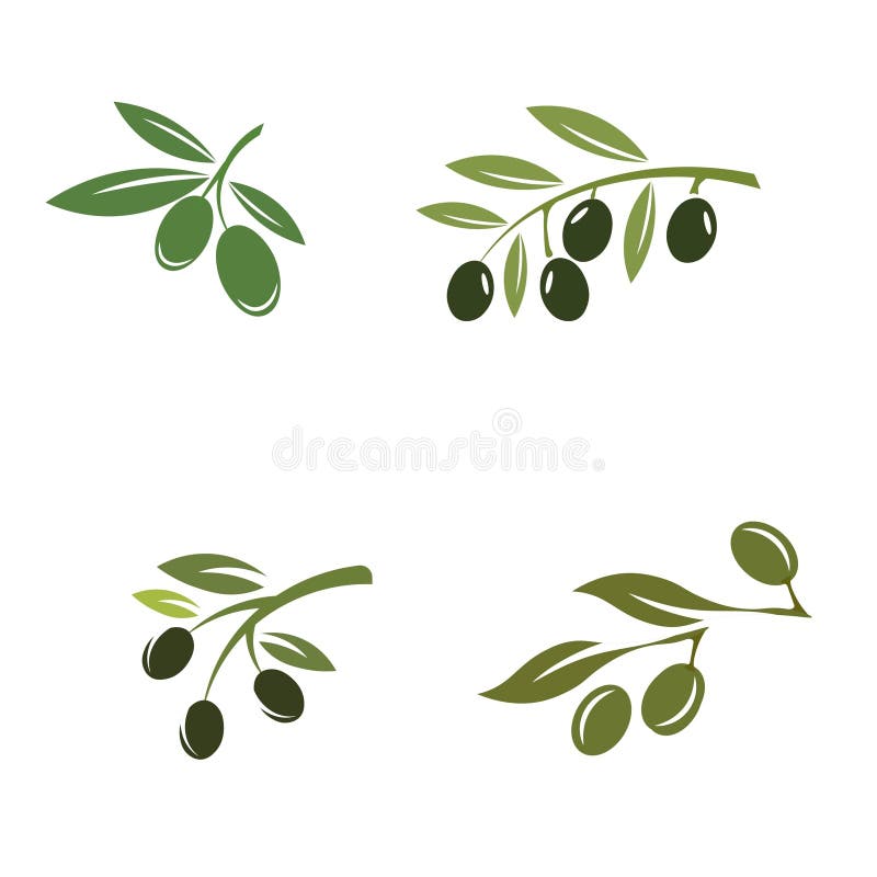 Olive logo stock vector. Illustration of advertisement - 367972158