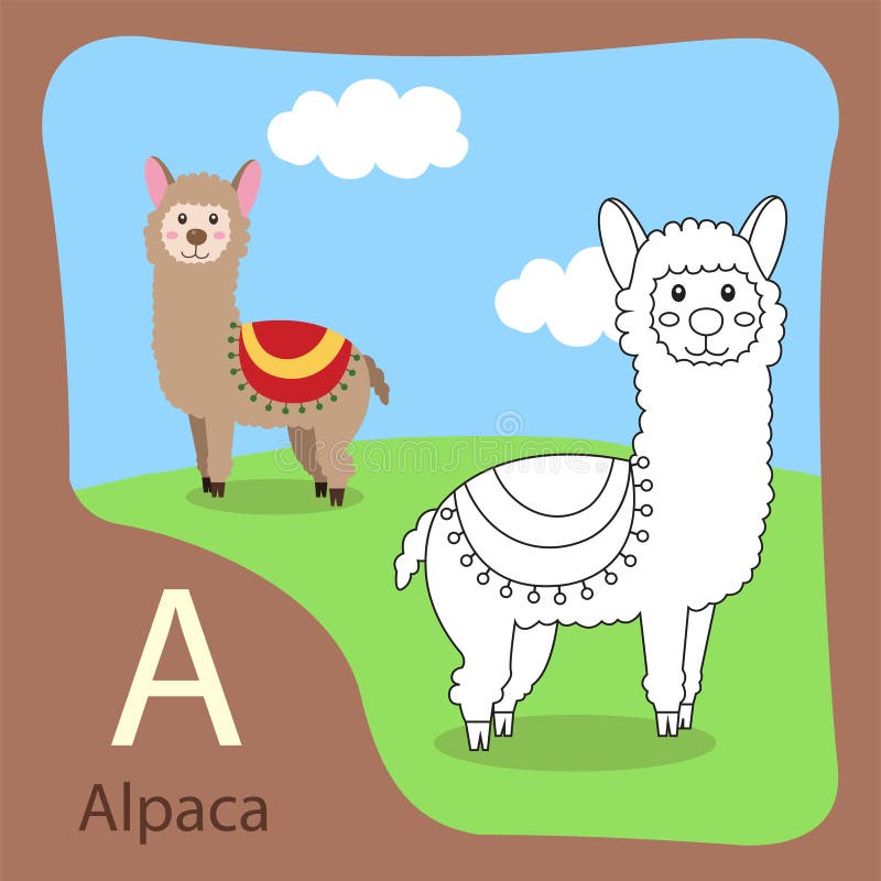Illustrator of Alpaca Isolated and Coloring Stock Vector - Illustration ...