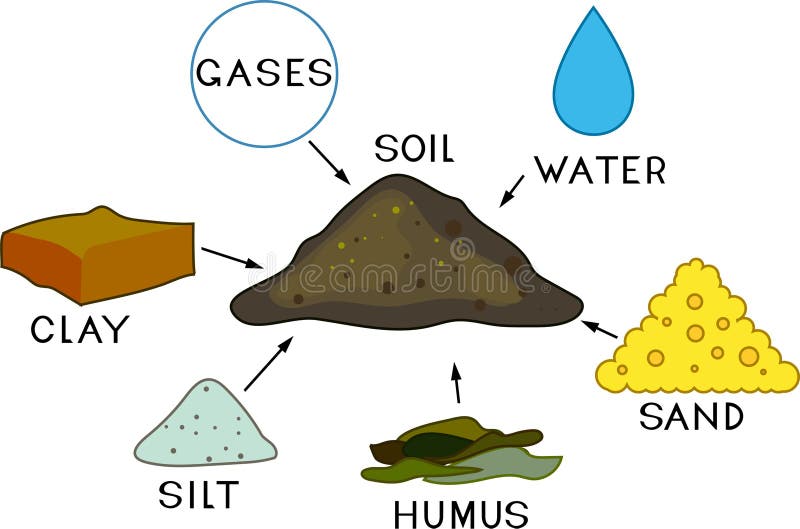 Soil Components: Humus, Clay, Sand, Water, Air, Silt Stock Vector ...