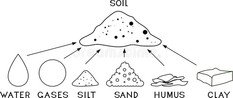 Coloring Page with Soil Components: Humus, Clay, Sand, Water, Air, Silt ...