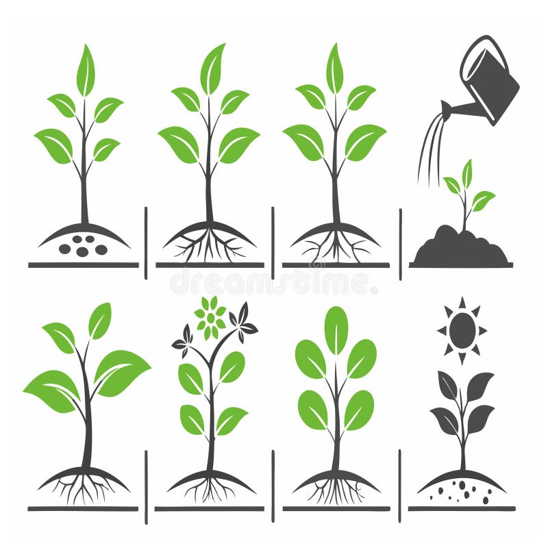 Plant Planting and Watering Various Plants Icon and Logo Illustrations ...