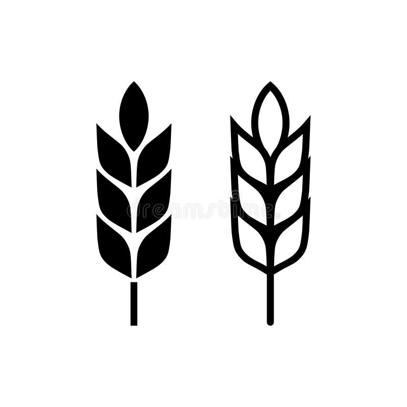 Wheat Icon. Rice Icon. Wheat Grain. Gluten Symbol Stock Vector ...