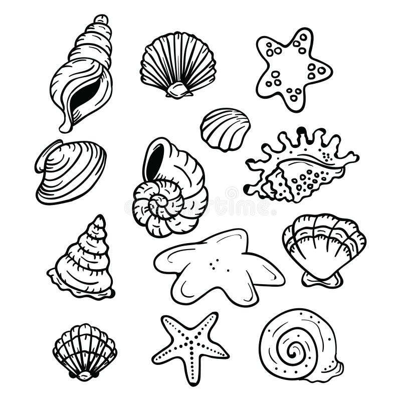 Sea shells icon set vector stock vector. Illustration of whale - 370266867