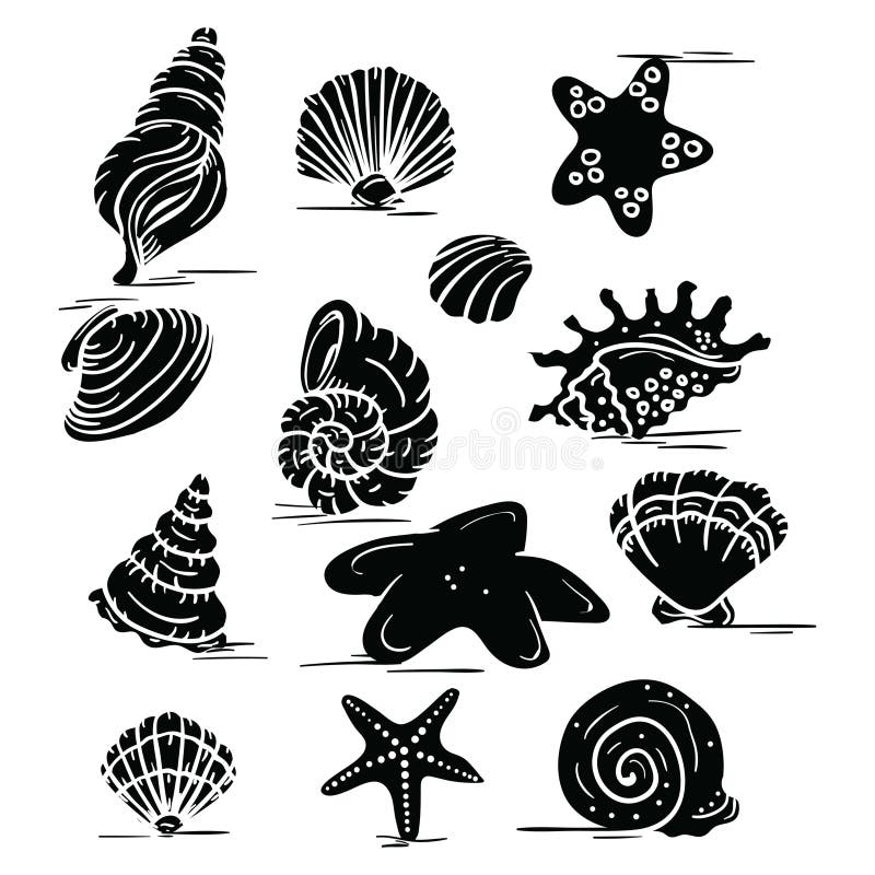 Sea shells icon set vector stock vector. Illustration of organ - 370267465