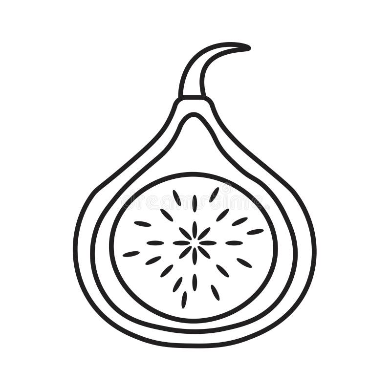 Fig icon line concept stock illustration. Illustration of clip - 370462380