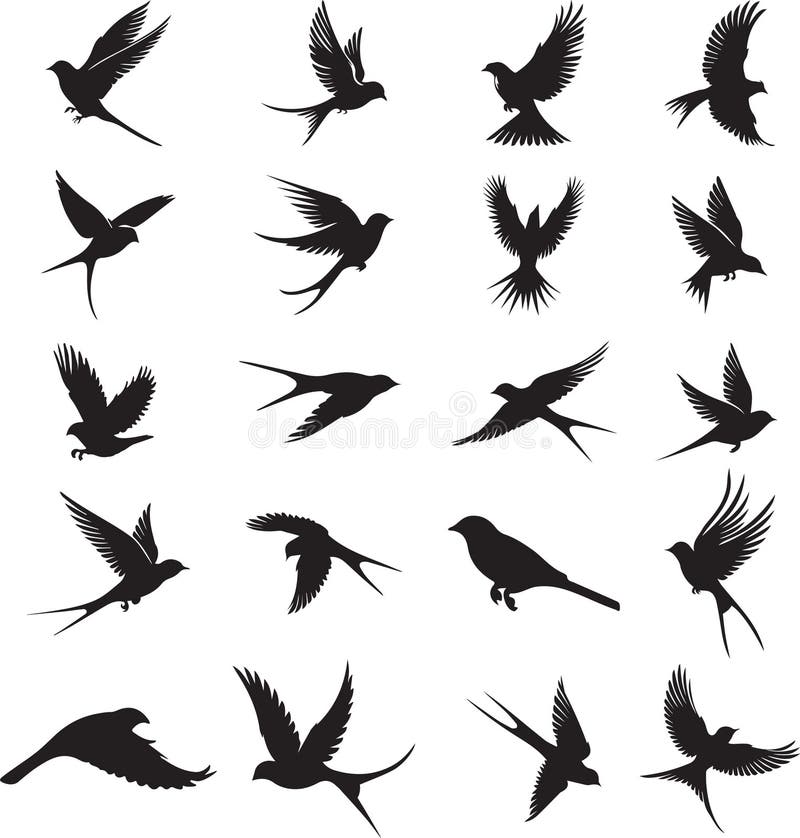 Silhouettes of Various Birds in Flight, Depicted in Black Against a ...