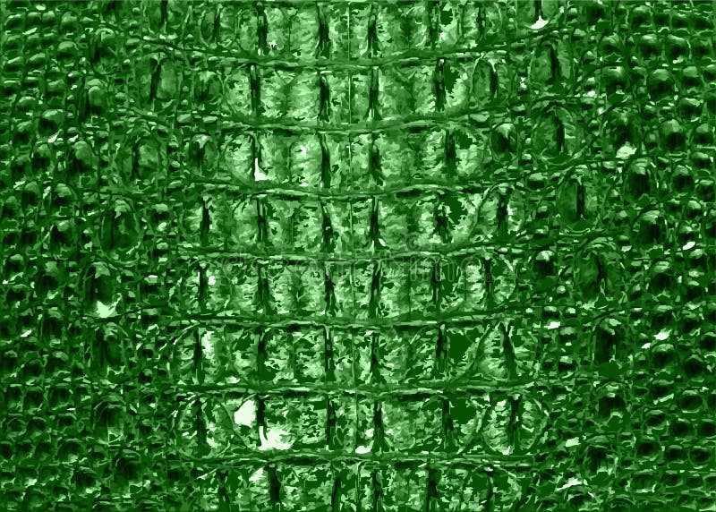 Crocodile Skin, Realistic Texture Lizard Pattern, Color Dark Green ...