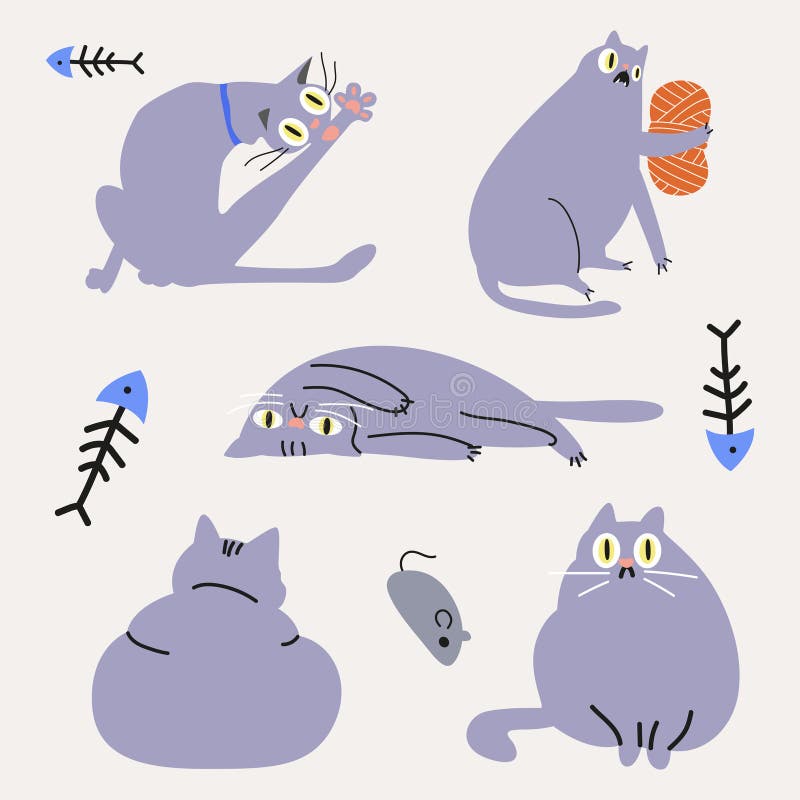 Different Funny Domestic Cat with Happy Charming Playful Expression ...