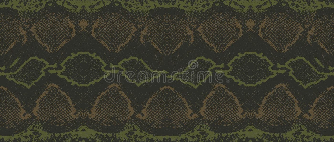 Anaconda Stock Illustrations – 9,009 Anaconda Stock Illustrations ...