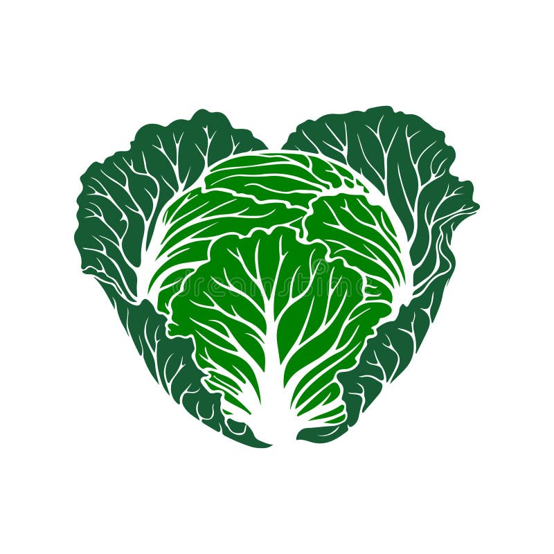 Colorful Cabbage Clipart for Designers Stock Vector - Illustration of ...