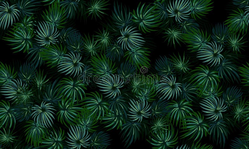 Tropical Leaves Seamless Pattern. Dark Background. Exotic Tropical ...