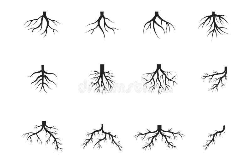 Set of Black Tree Roots in Various Shapes Stock Illustration ...