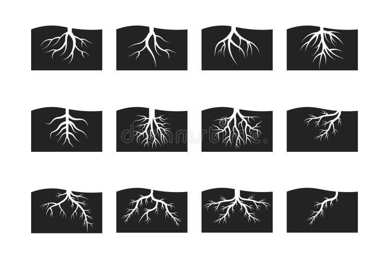 Set of Black Tree Roots in Various Shapes Stock Illustration ...