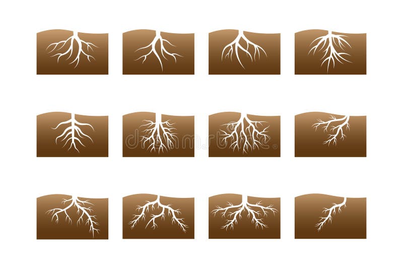 Set of Brown Tree Roots in Various Shapes Stock Illustration ...