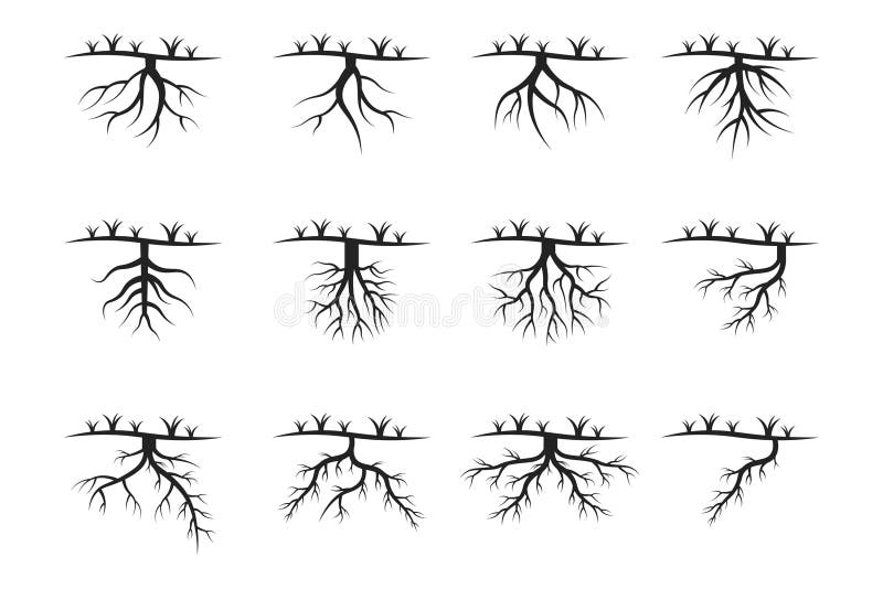 Silhouettes of Tree Roots in Various Shapes Stock Illustration ...