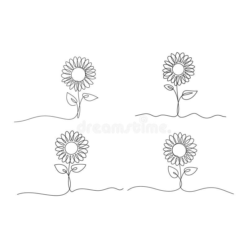 Sunflower Line Art Drawing, Simple Minimalist Botanical Art Stock ...