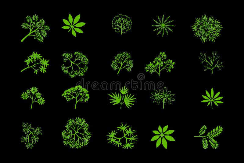 Top View Green Tree Vector Set for Garden and Landscape Architecture ...